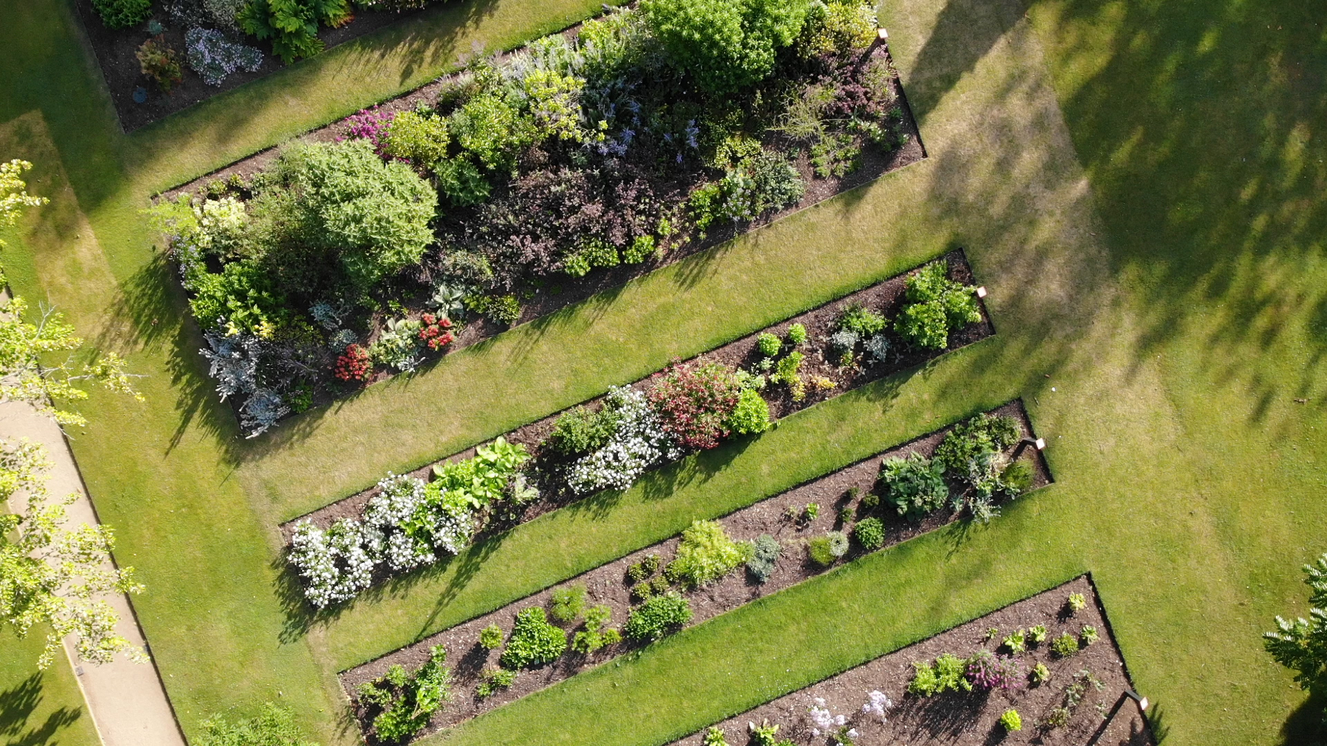 Guide to Oxford Botanic Garden | Oxford Botanic Garden and Arboretum