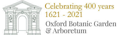 Home | Oxford Botanic Garden and Arboretum